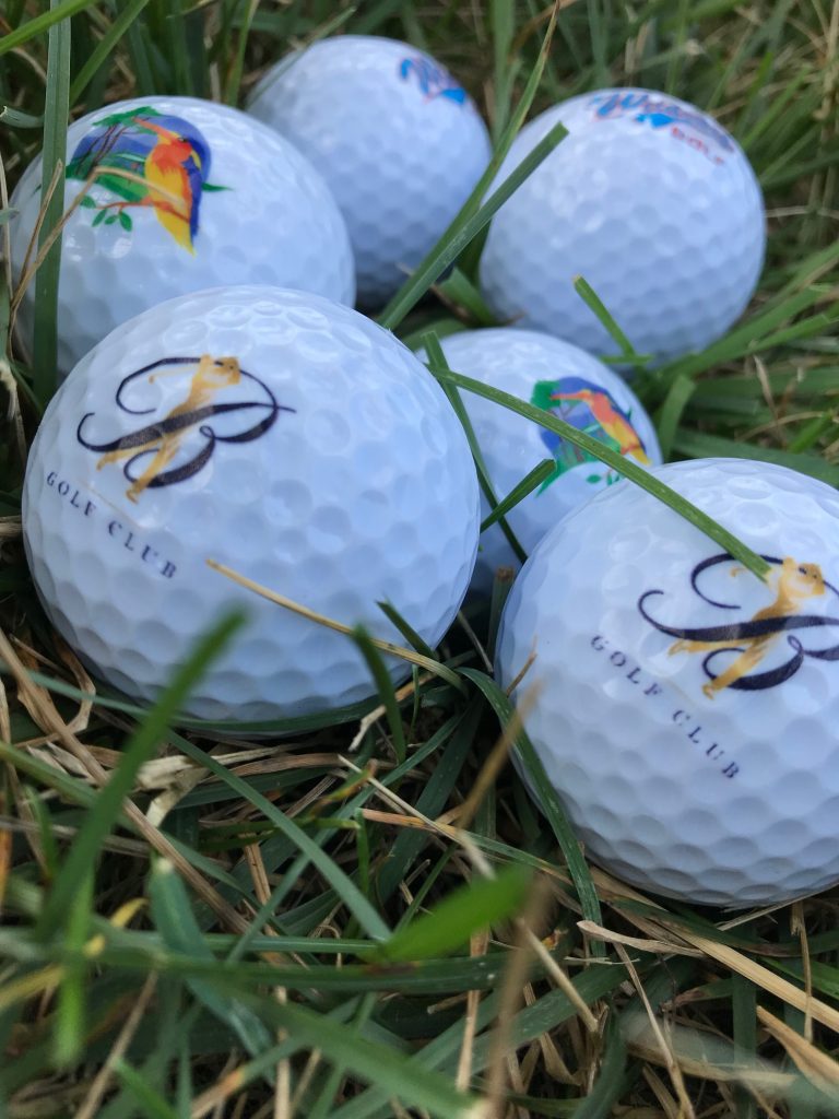 Golf Ball Inkjet Printer Manufacturer | Golf Ball Logo Printer